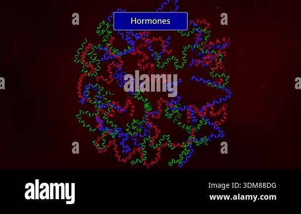 Lipid soluble hormones Stock Videos & Footage - HD and 4K Video Clips ...
