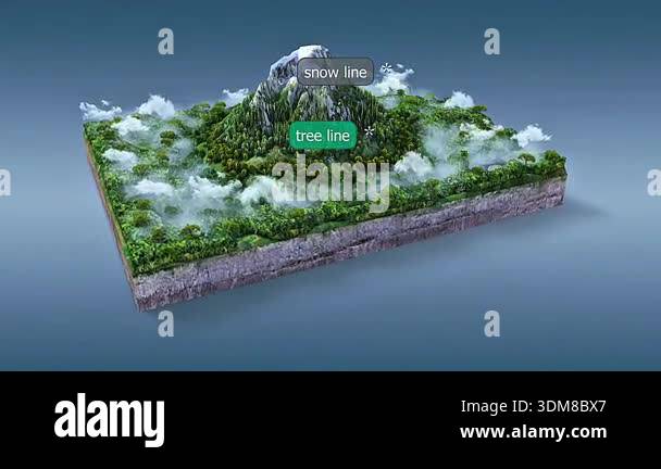 3d animation of tropical zone vegetation across altitudinal zones ...