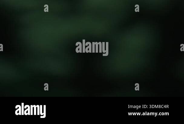 Abstract blurred green bokeh background with a soft focus effect ...