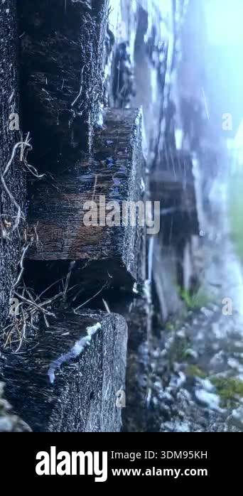Water streaming over stacked wooden logs in close-up, wet timber ...