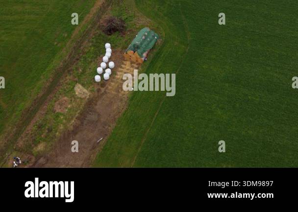 Aerial view of a beautiful white egret gracefully flying over hay bales ...