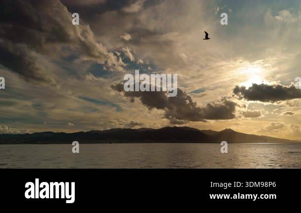 A cinematic sunset scene featuring a lone bird flying above calm sea ...