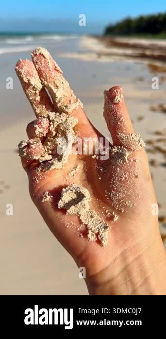 Hand holding sand on a beach in bright sunlight near the ocean shore. A ...