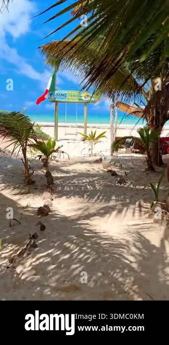 Tulum, Mexico, 1 August 2025: Sandy path leading to a beach with palm ...