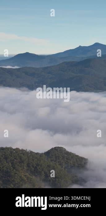 Landscape of misty valley and mountain clouds sea. Royalty high-quality ...