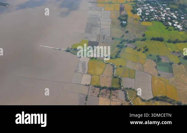 Peaceful aerial view of rice fields in Mekong Delta, Tri Ton Ta Pa, An ...