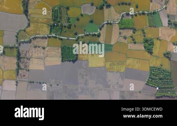 Peaceful aerial view of rice fields in Mekong Delta, Tri Ton Ta Pa, An ...