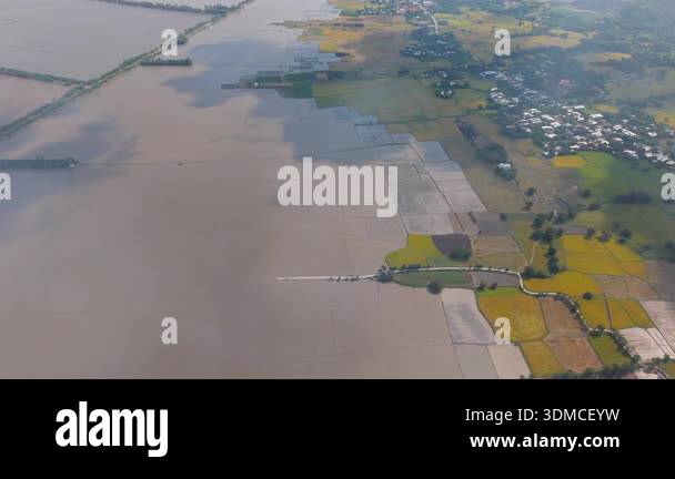 Peaceful aerial view of rice fields in Mekong Delta, Tri Ton Ta Pa, An ...