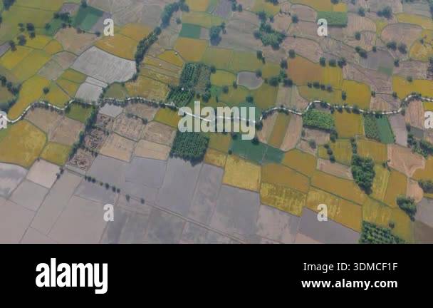 Peaceful aerial view of rice fields in Mekong Delta, Tri Ton Ta Pa, An ...