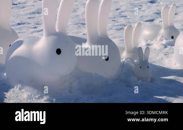 White snow bunnies in a winter wonderland. Festive and playful outdoor ...