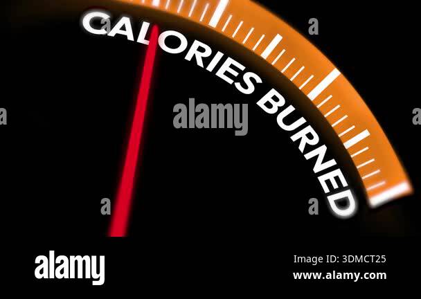Dynamic animated calorie gauge for fitness lovers perfect for health ...