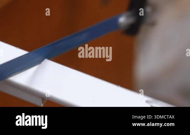 Close-up view of a hacksaw blade precisely cutting through a white ...