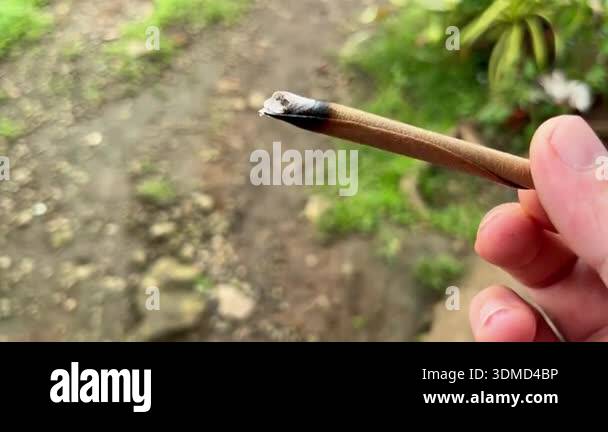 smoking natural hand-rolled lomboy leaf cigarette outdoors, organic ...