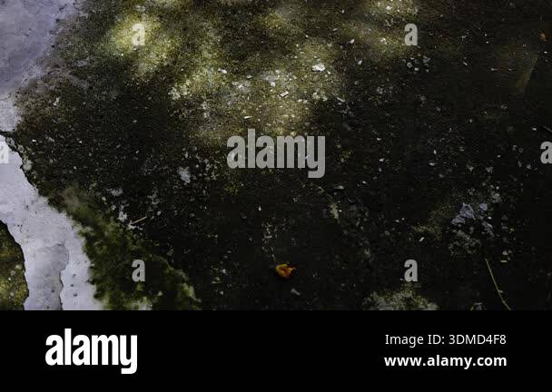 Close Up Of A Concrete Wall, Background for advertising and wallpaper ...