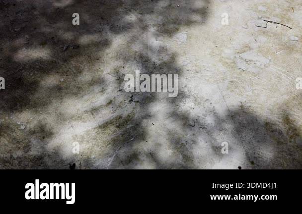 High Angle Sun Shadows On Stained Floor, A dramatic film clip of high ...