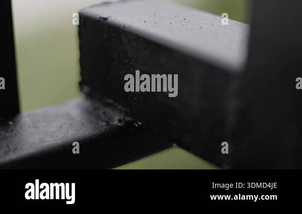 Busy Ants March In Teamwork, A cinematic film clip of busy ants ...