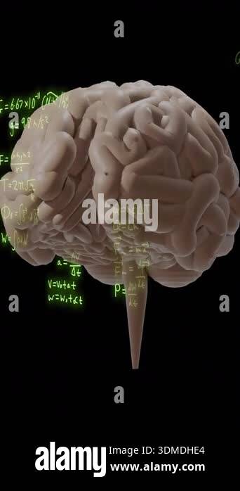 Animation of mathematical equations over rotating brain on black ...