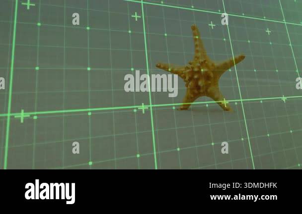 Starfish model Stock Videos & Footage - HD and 4K Video Clips - Alamy