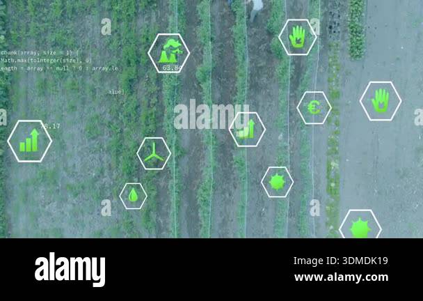 Workers entering crop rows and harvesting produce while animated hex ...