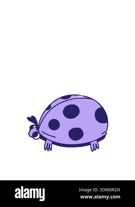 jumping motion animation of quirky cartoon ladybird Stock Video Footage ...