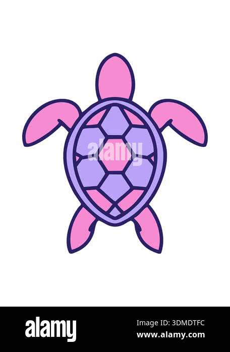 shaking motion animation of brazilian turtle shown from above drawing ...