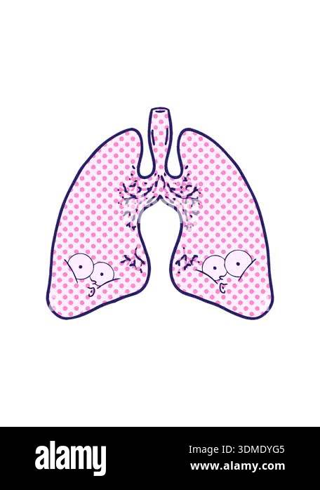 attention grabbing animation of cartoon lungs Stock Video Footage - Alamy