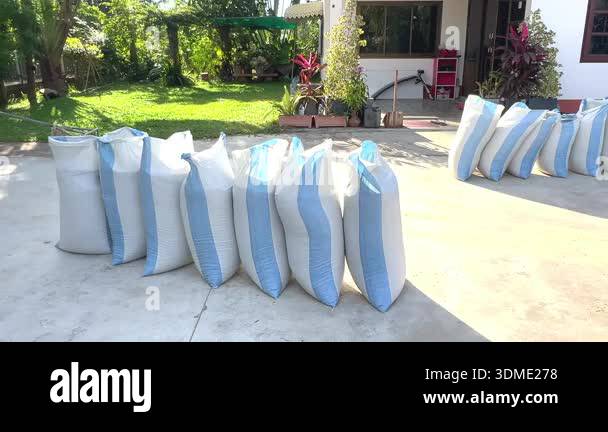 Video of rice paddy stored in white and blue sacks with grains drying ...