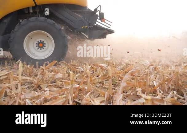 Close up big rotating wheel of combine working on corn field or farm ...