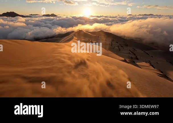 Gorgeous sunset aerial view with lone trees in the Sahara Desert, Saudi ...