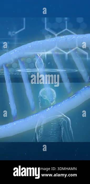 DNA strand and scientific data processing animation over brain and ...