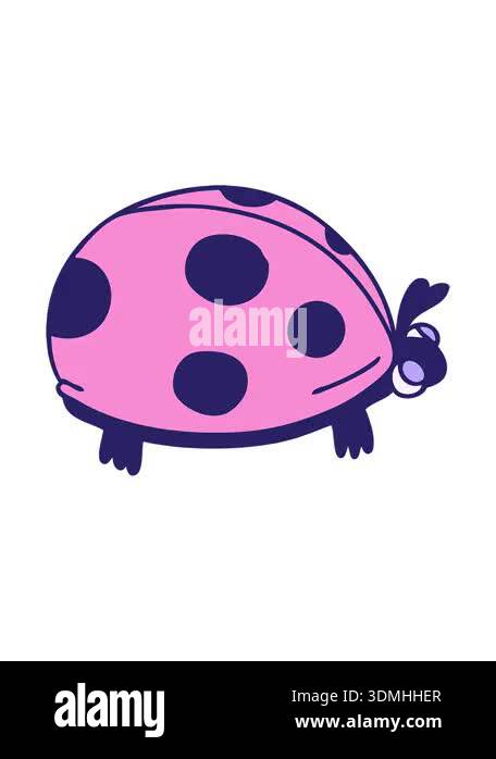 shivering motion animation of hand drawn quirky cartoon ladybird Stock ...
