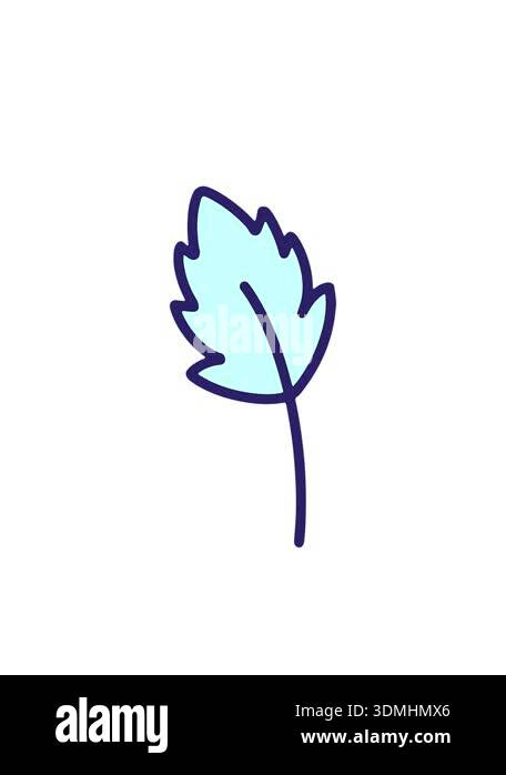 blinking radial lines animation of simple leaf cartoon Stock Video ...