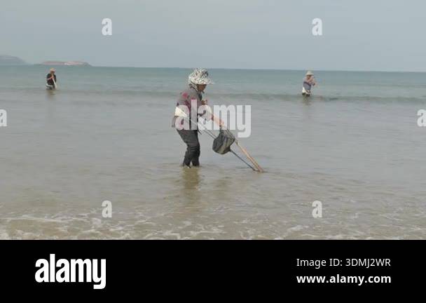 Traditional coastal lifestyle: Villagers foraging for seafood on the ...