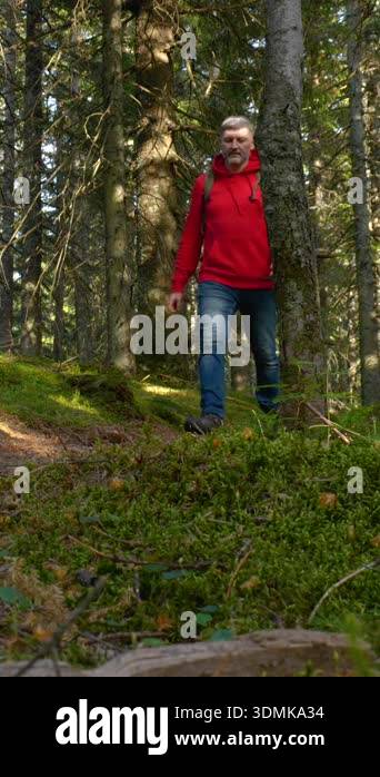 Man hiking downhill through dense forest trail, Outdoor trekking ...