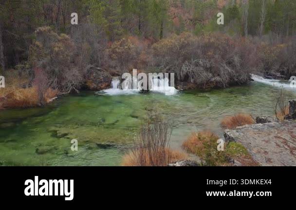 Crystal clear water flows through a serene natural spring surrounded by ...