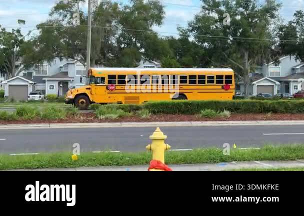 Fire hydrant school Stock Videos & Footage - HD and 4K Video Clips - Alamy