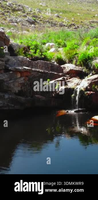 tranquil mountain rock pool with reflections and tiny cascading stream ...