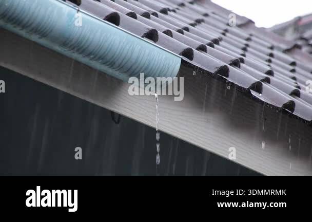 Wet roof tiles during downpour with water splashing into drainage pipe ...