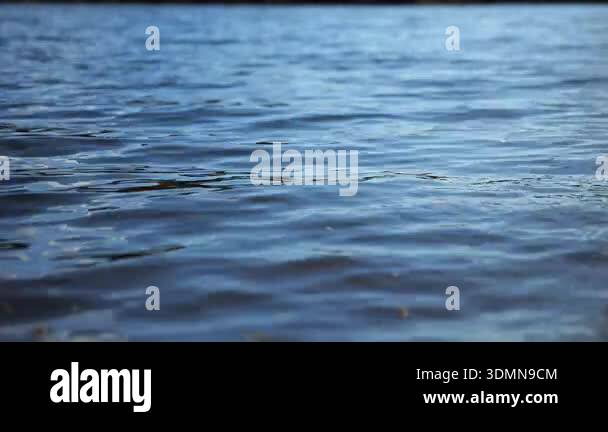 Close up view on lake with small waves at sunny day. Calm scenery of ...