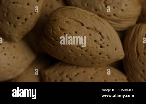 Extreme macro shot of almond nut shell texture showing detailed pores ...