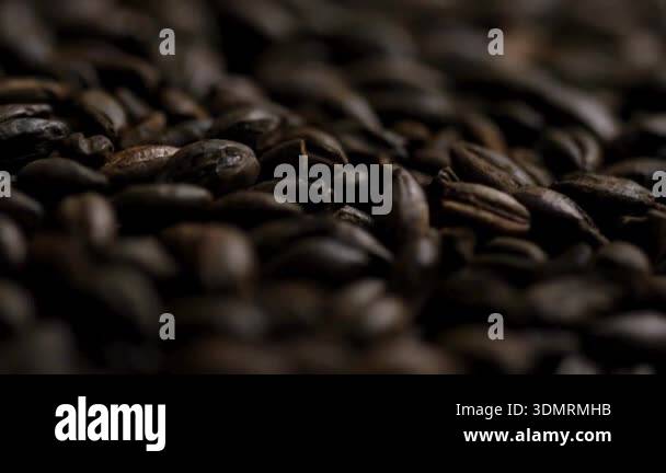 Dark roasted black malt or chocolate malt barley grains rotating for ...