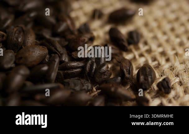 Dark roasted chocolate malt barley grains scattered on burlap fabric ...