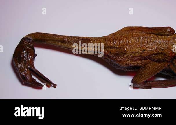 Panning view of whole roasted duck with head and feet attached lying on ...