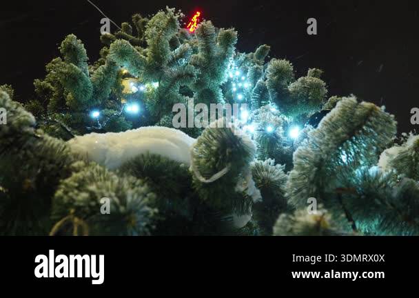 New Years festively decorated Christmas tree standing in the open air ...