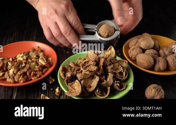 Hands using a nutcracker to crack open walnuts, showing the nut inside ...