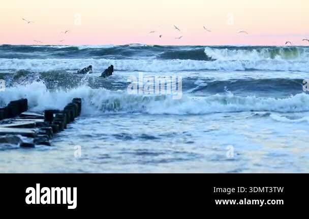 Dramatic winter seascape of the Baltic Sea at sunset, where powerful ...