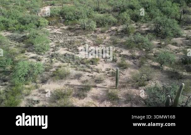 Tucson, Arizona, USA - August 6th, 2025: Drone view of Agua Caliente ...