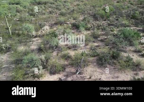 Tucson, Arizona, USA - August 6th, 2025: Drone view of Agua Caliente ...