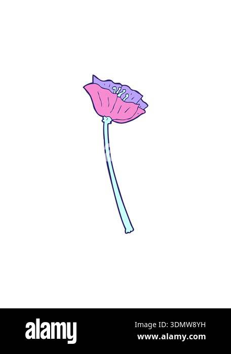 popping motion animation of flower doodle Stock Video Footage - Alamy