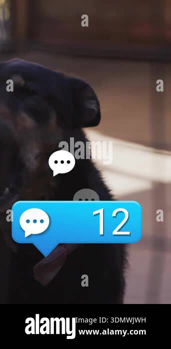 Dog barking with 47 chat bubbles animation over outdoor background. Pet ...